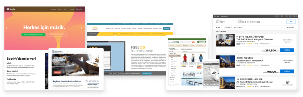 Website Translation Services | SimulTrans