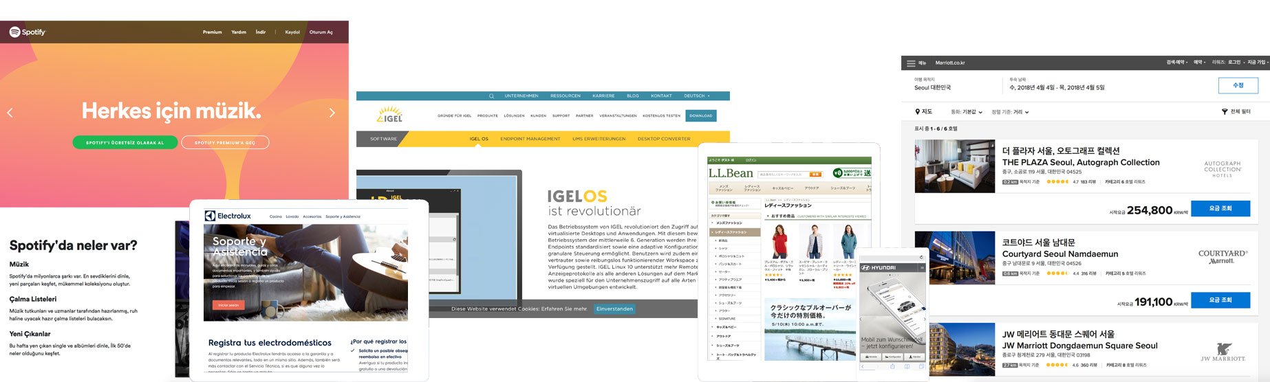 Professional Website Translation Services | 100+ Languages