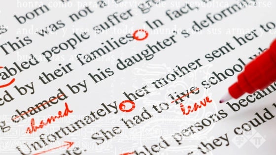 Quality in the Machine Translation Workflow